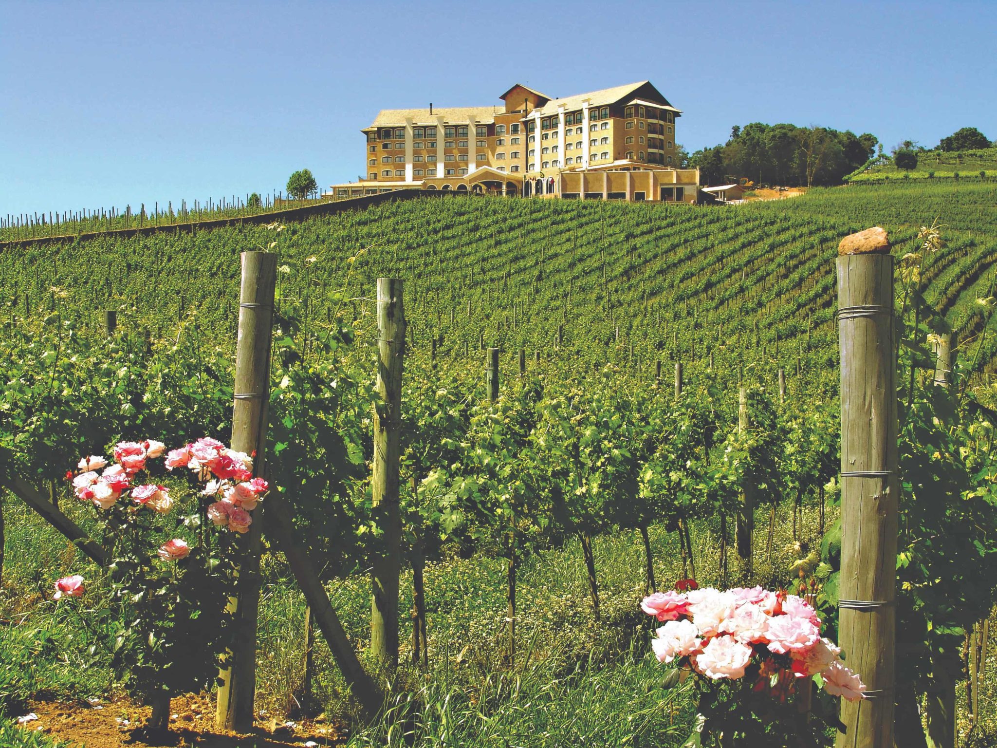 Sede - Brasil Selection